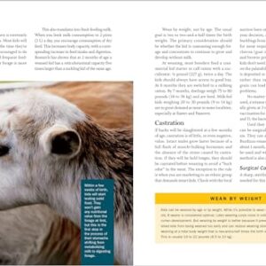 Storey's Guide to Raising Dairy Goats, 5th Edition: Breed Selection, Feeding, Fencing, Health Care, Dairying, Marketing