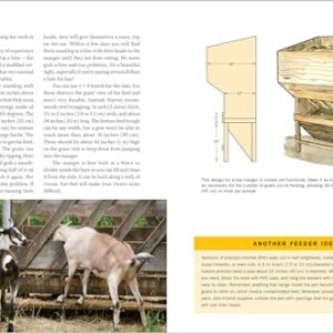 Storey's Guide to Raising Dairy Goats, 5th Edition: Breed Selection, Feeding, Fencing, Health Care, Dairying, Marketing