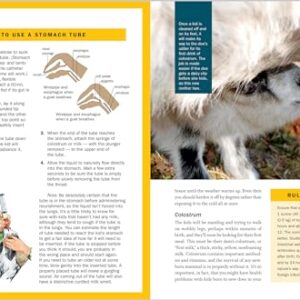 Storey's Guide to Raising Dairy Goats, 5th Edition: Breed Selection, Feeding, Fencing, Health Care, Dairying, Marketing