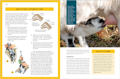 Storey's Guide to Raising Dairy Goats, 5th Edition: Breed Selection, Feeding, Fencing, Health Care, Dairying, Marketing