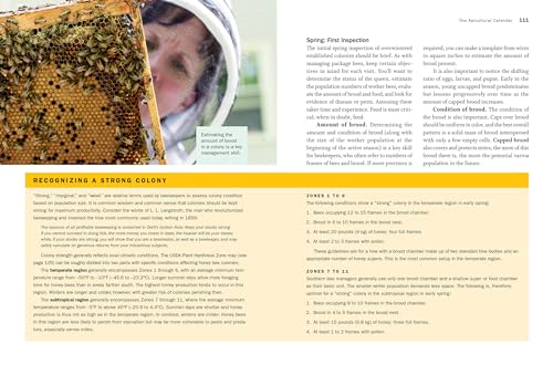 Storey's Guide to Keeping Honey Bees, 2nd Edition: Honey Production, Pollination, Health (Storey’s Guide to Raising)