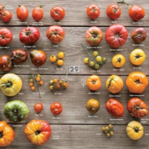 Epic Tomatoes: How to Select and Grow the Best Varieties of All Time