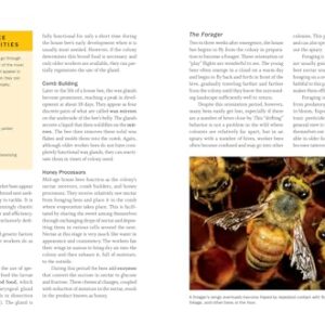 Storey's Guide to Keeping Honey Bees, 2nd Edition: Honey Production, Pollination, Health (Storey’s Guide to Raising)