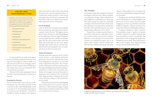 Storey's Guide to Keeping Honey Bees, 2nd Edition: Honey Production, Pollination, Health (Storey’s Guide to Raising)