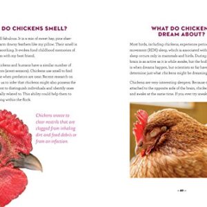 How to Speak Chicken: Why Your Chickens Do What They Do & Say What They Say