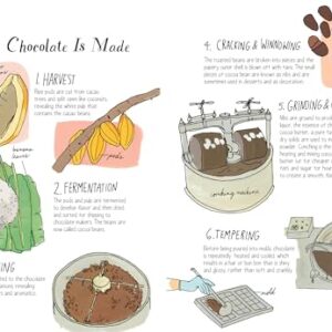 Food Anatomy: The Curious Parts & Pieces of Our Edible World