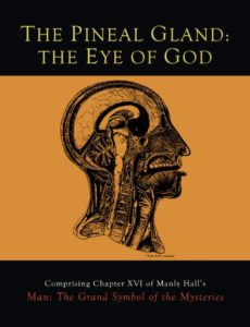 the pineal gland: the eye of god