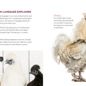 How to Speak Chicken: Why Your Chickens Do What They Do & Say What They Say