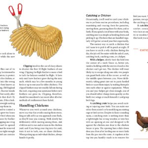 Storey's Guide to Raising Chickens, 4th Edition: Breed Selection, Facilities, Feeding, Health Care, Managing Layers & Meat Birds