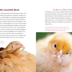 How to Speak Chicken: Why Your Chickens Do What They Do & Say What They Say