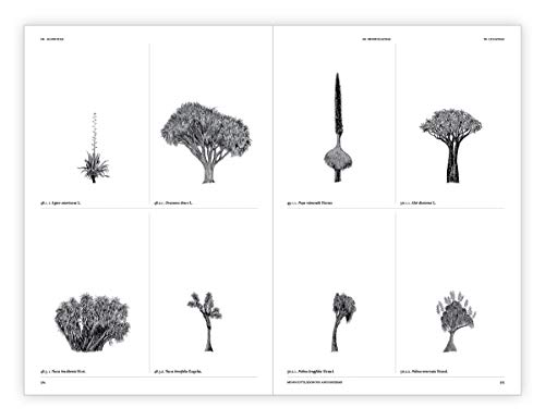 The Architecture of Trees