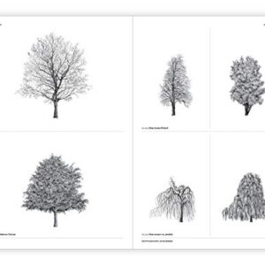 The Architecture of Trees