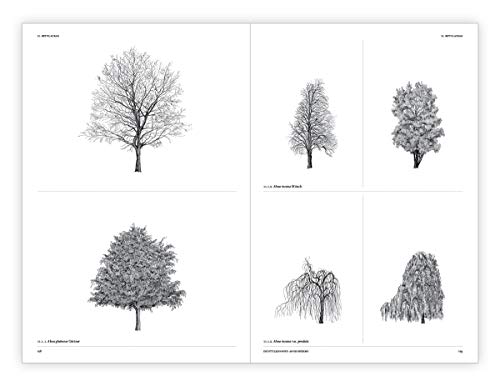 The Architecture of Trees