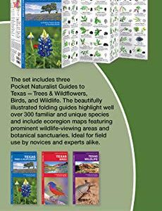 Texas Nature Set: Field Guides to Wildlife, Birds, Trees & Wildflowers of Texas (Nature Observation North America)