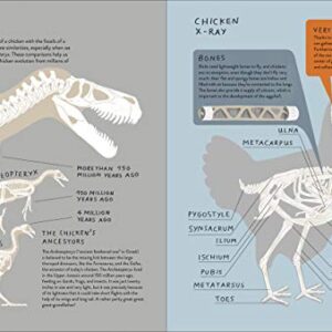 Chickenology: The Ultimate Encyclopedia (The Farm Animal Series)