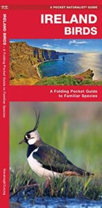 ireland birds: a folding pocket guide to familiar species (nature observation international)