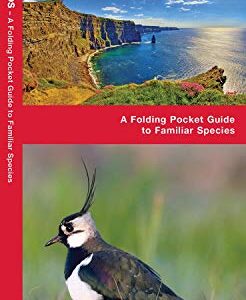 Ireland Birds: A Folding Pocket Guide to Familiar Species (Nature Observation International)