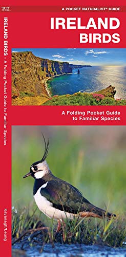 Ireland Birds: A Folding Pocket Guide to Familiar Species (Nature Observation International)