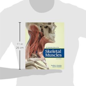 An Illustrated Atlas of the Skeletal Muscles