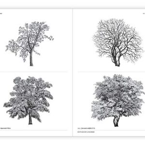 The Architecture of Trees