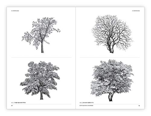 The Architecture of Trees