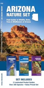 arizona nature set (nature observation north america)