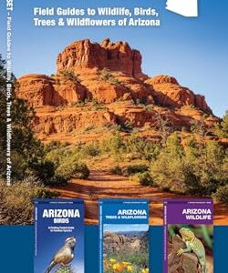 Arizona Nature Set (Nature Observation North America)