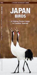 japan birds: a folding pocket guide to familiar species (nature observation international)