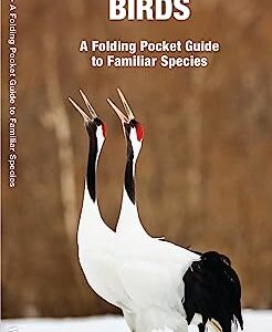 Japan Birds: A Folding Pocket Guide to Familiar Species (Nature Observation International)