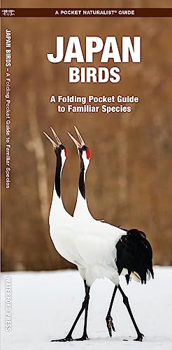 Japan Birds: A Folding Pocket Guide to Familiar Species (Nature Observation International)