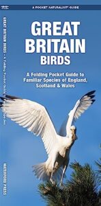 great britain birds: a folding pocket guide to familiar species of england, scotland & wales (nature observation international)