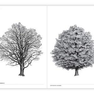 The Architecture of Trees