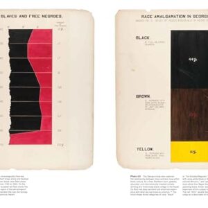 W. E. B. Du Bois's Data Portraits: Visualizing Black America