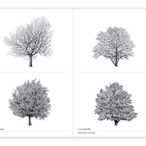 The Architecture of Trees