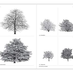 The Architecture of Trees