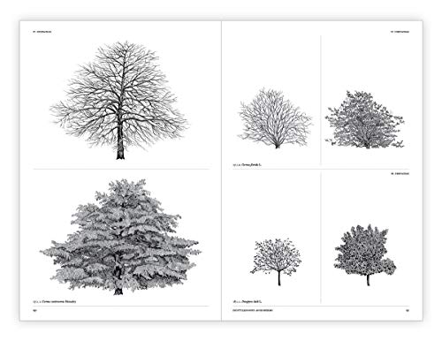 The Architecture of Trees