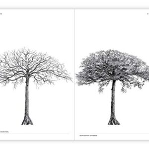 The Architecture of Trees