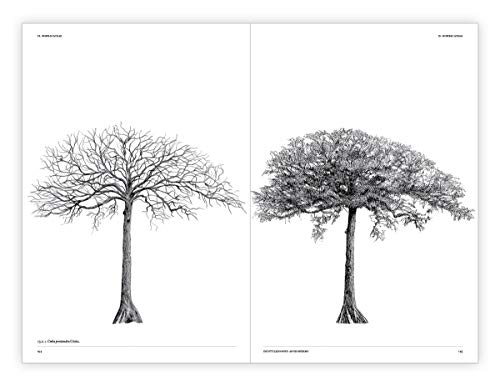 The Architecture of Trees