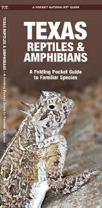 texas reptiles & amphibians: a folding pocket guide to familiar species (nature observation north america)