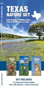 texas nature set: field guides to wildlife, birds, trees & wildflowers of texas (nature observation north america)