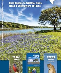 Texas Nature Set: Field Guides to Wildlife, Birds, Trees & Wildflowers of Texas (Nature Observation North America)