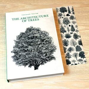 The Architecture of Trees