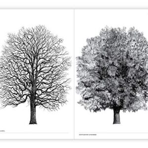 The Architecture of Trees