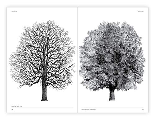 The Architecture of Trees