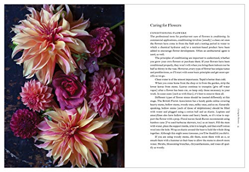 Cultivated: The Elements of Floral Style