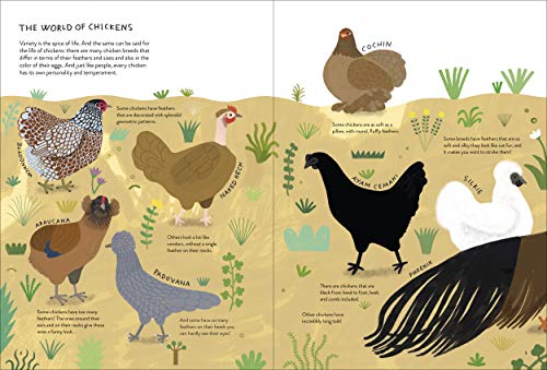 Chickenology: The Ultimate Encyclopedia (The Farm Animal Series)