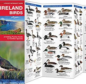 Ireland Birds: A Folding Pocket Guide to Familiar Species (Nature Observation International)