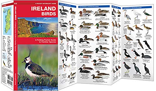 Ireland Birds: A Folding Pocket Guide to Familiar Species (Nature Observation International)