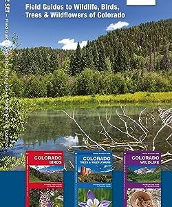 Colorado Nature Set: Field Guides to Wildlife, Birds, Trees & Wildflowers of Colorado (Nature Observation North America)