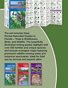 Florida Nature Set: Field Guides to Wildlife, Birds, Trees & Wildflowers of Florida (Nature Observation North America)